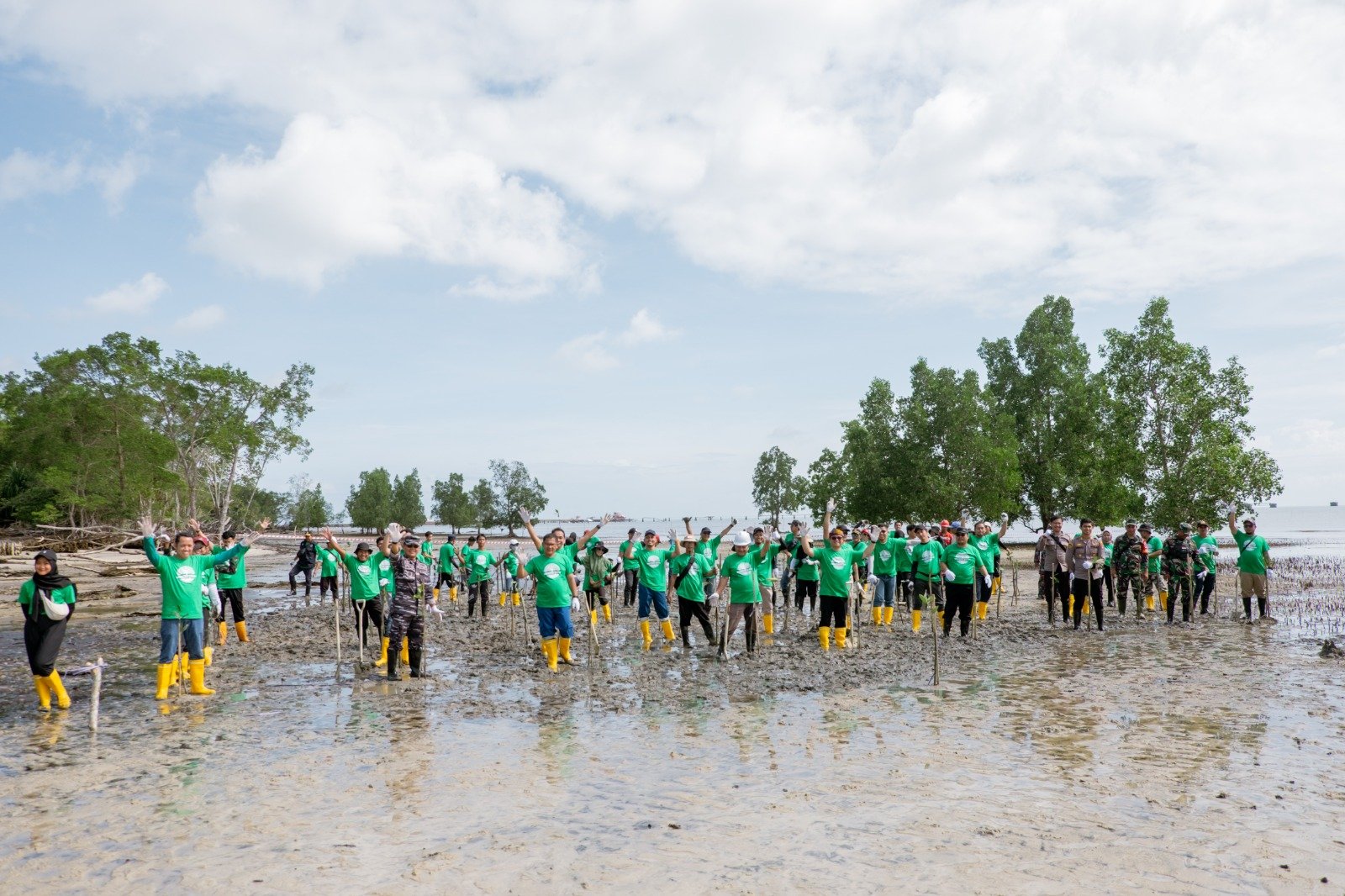 Pertamina EP Bunyu Field Tanam 1.000 Bibit Mangrove, Cegah Abrasi ...